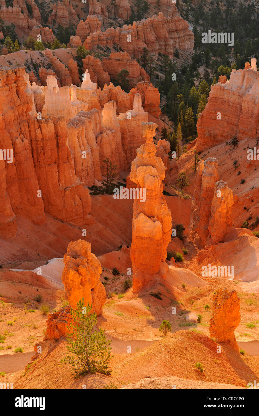 Thor hammer rock formation hi-res stock photography and images - Alamy