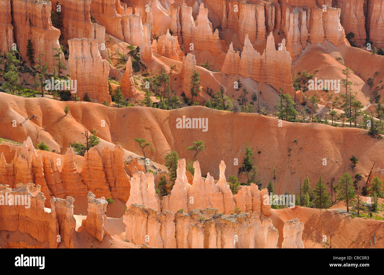 Queen victoria rock formation hi-res stock photography and images - Alamy