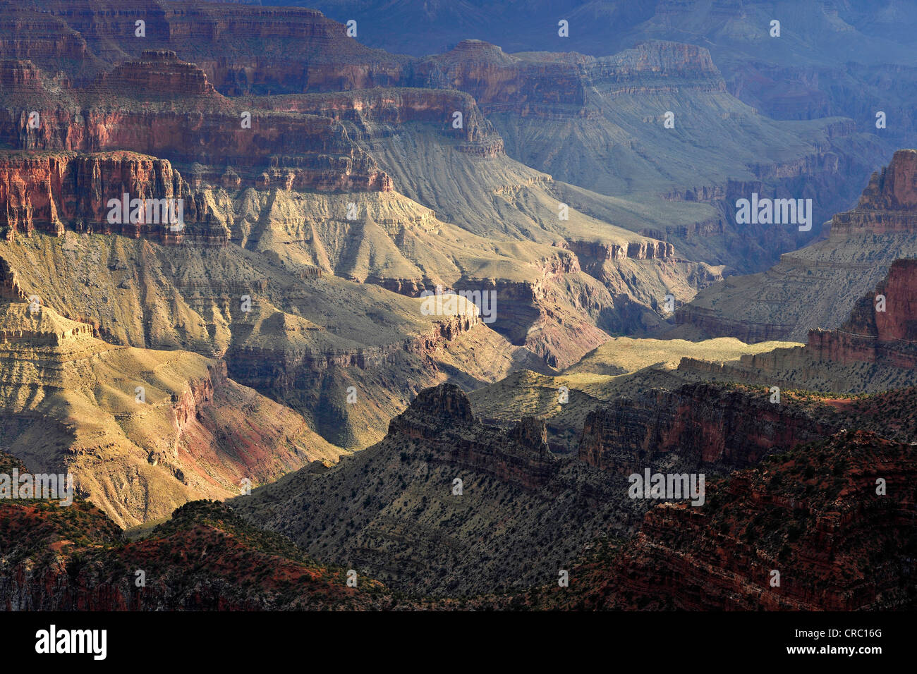 View from Bright Angel Point towards Bright Angel Canyon, evening mood ...