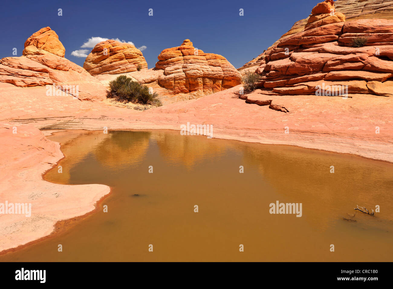 Brain Rocks and pool of rain water, Top Rock, southern entrance to The ...