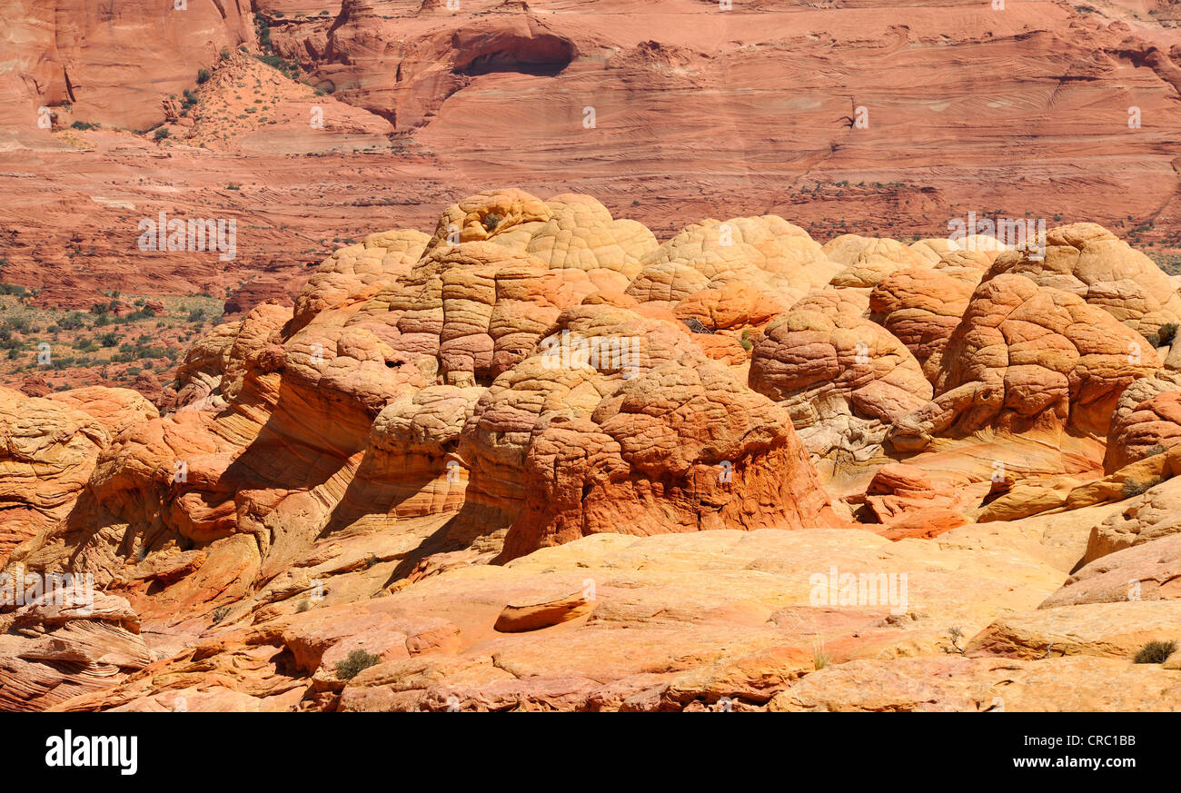 Brain regions hi-res stock photography and images - Alamy