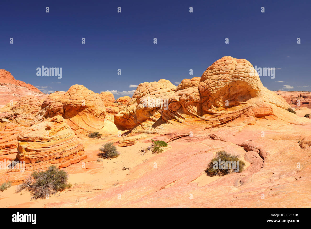 Science Rocks My Brain