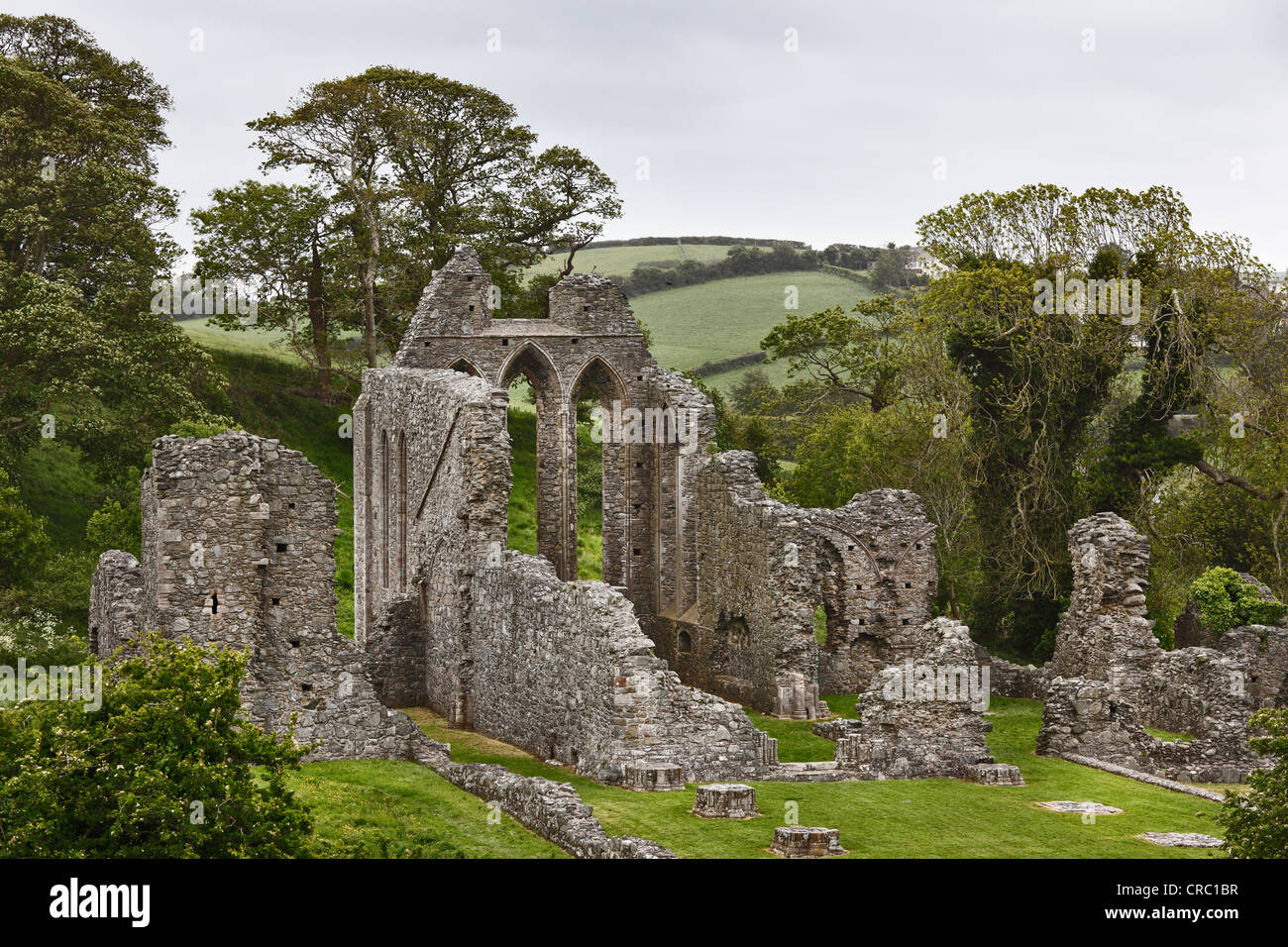 Ruins of Inch Abbey, Downpatrick, County Down, Northern Ireland ...