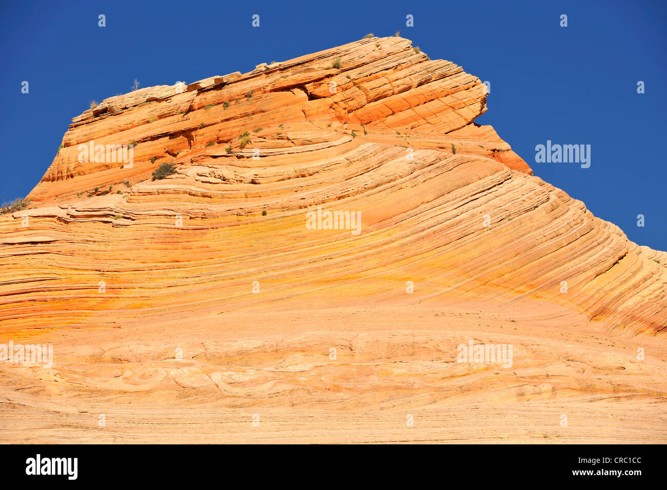 Coyote Buttes rock formation, on the way to The Wave sandstone rock ...