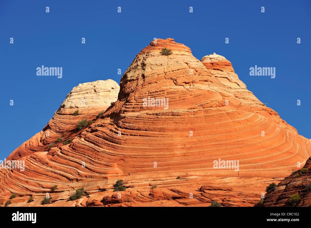 North coyote buttes hi-res stock photography and images - Alamy