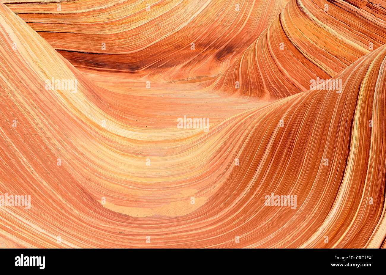 Liesegangen rings hi-res stock photography and images - Alamy