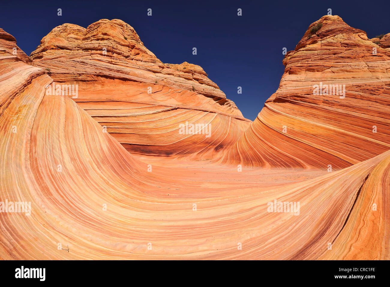The Wave, banded eroded Navajo sandstone rocks with Liesegang Bands ...