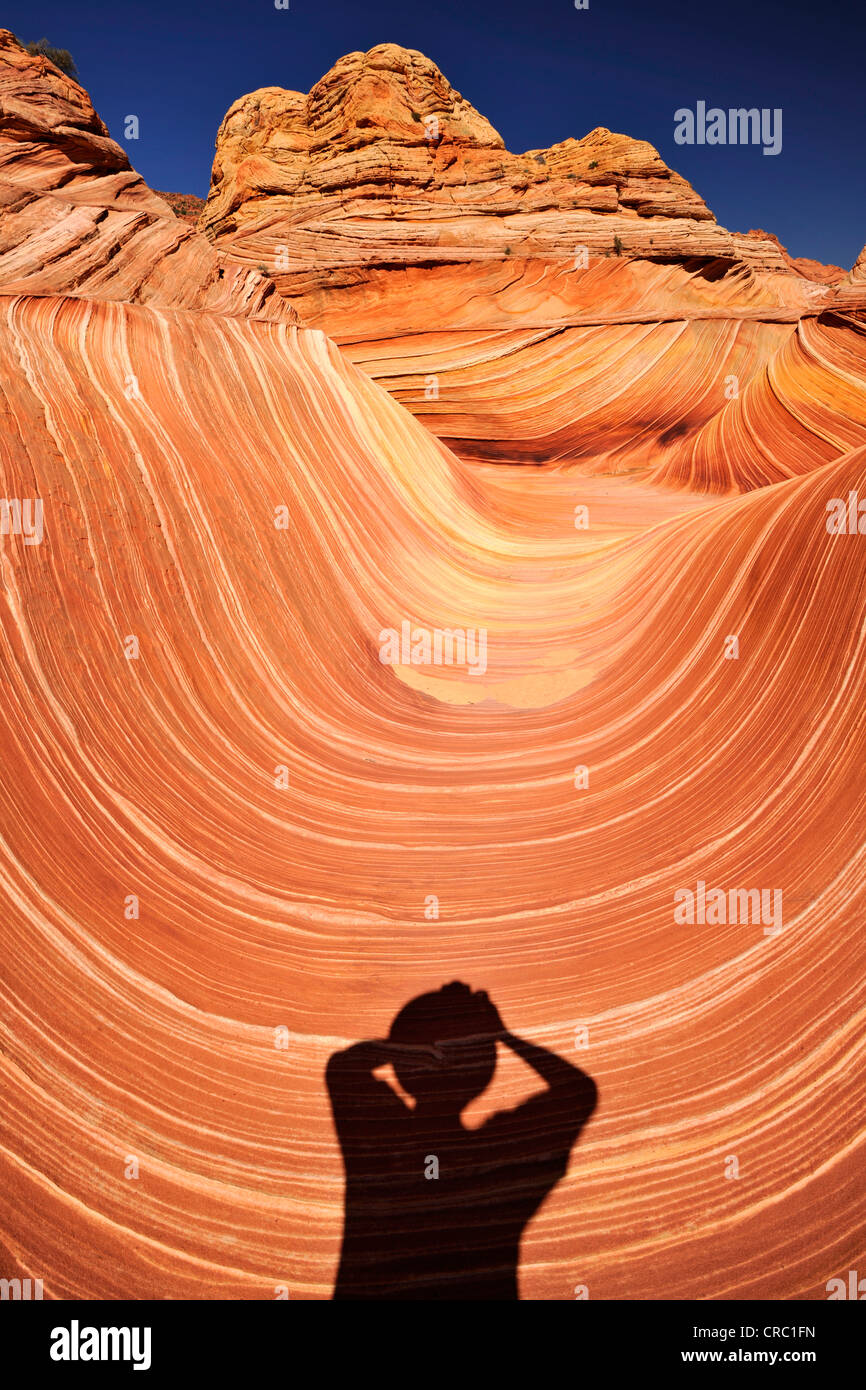 Shadow of a photographer on The Wave, banded eroded Navajo sandstone ...