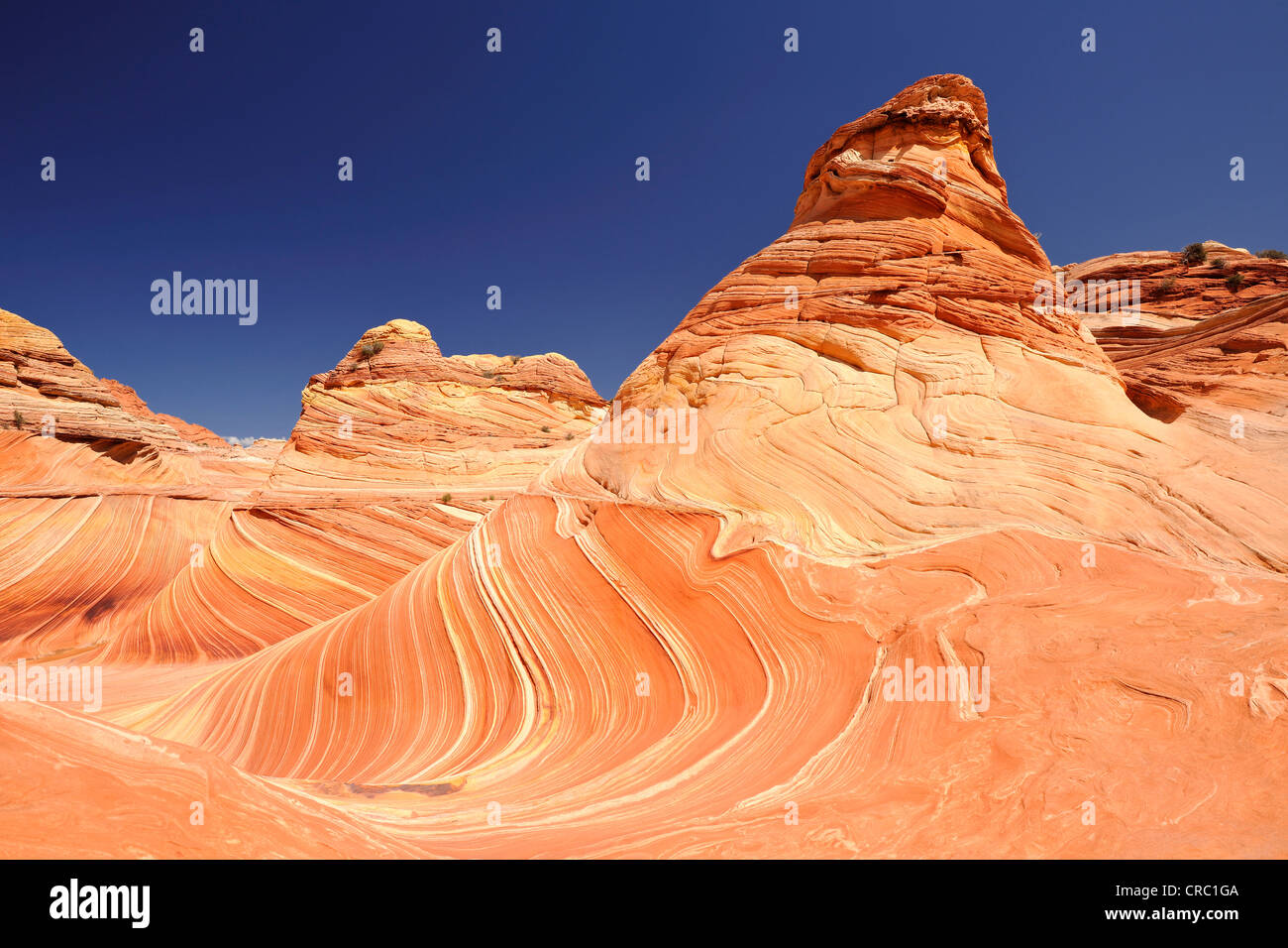 The Wave, banded eroded Navajo sandstone rocks with Liesegang Bands ...