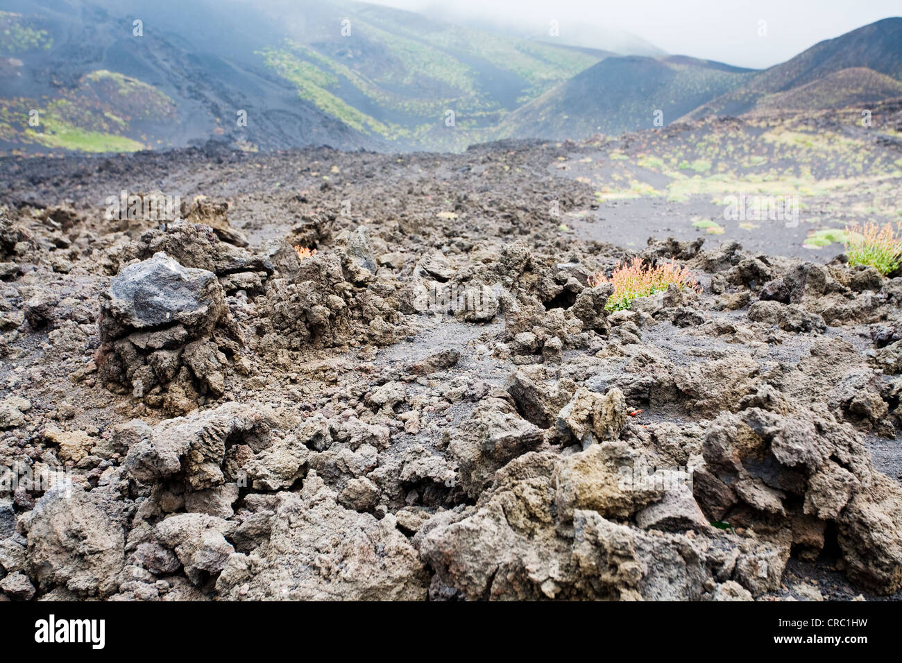 lava rocks close up on volcano slope of Etna, Sicily Stock Photo - Alamy