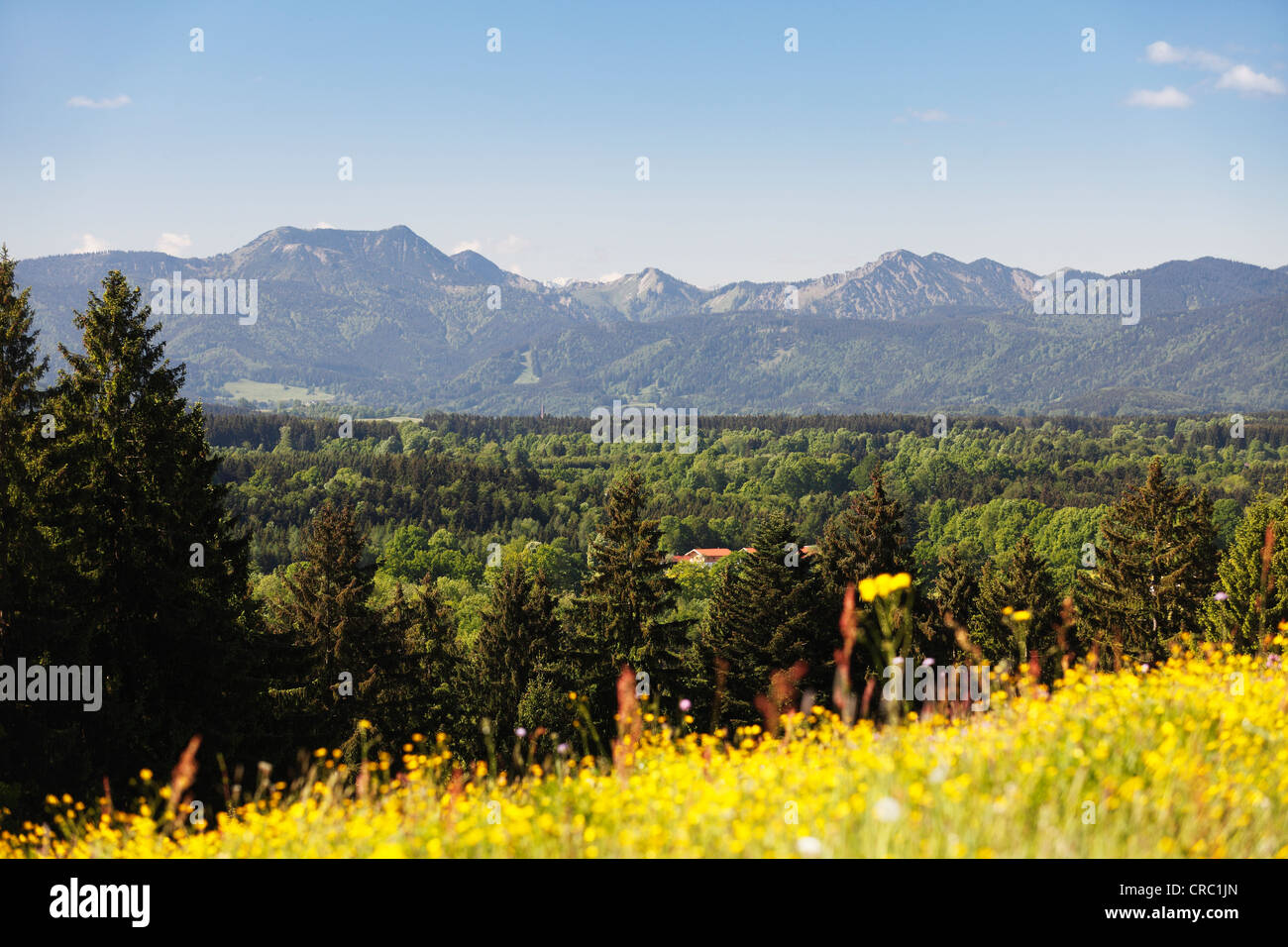 Taubenberg hi-res stock photography and images - Alamy
