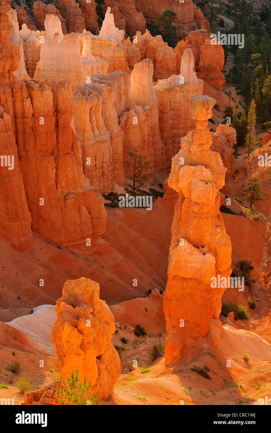 Rock formation, Thor's Hammer, morning light, Sunset Point, Bryce ...