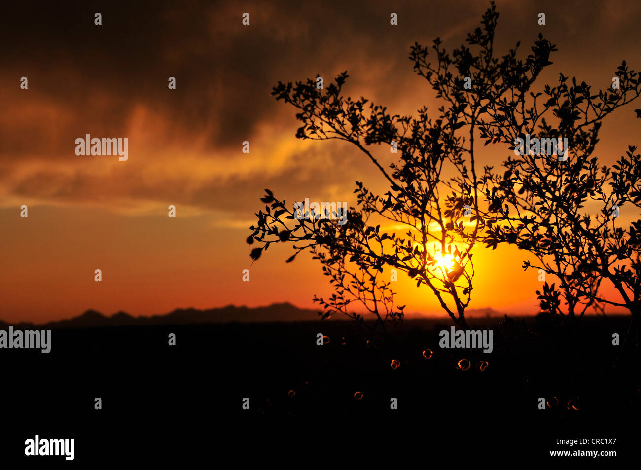 A sunset colors the sky on the first day of monsoon season in the ...