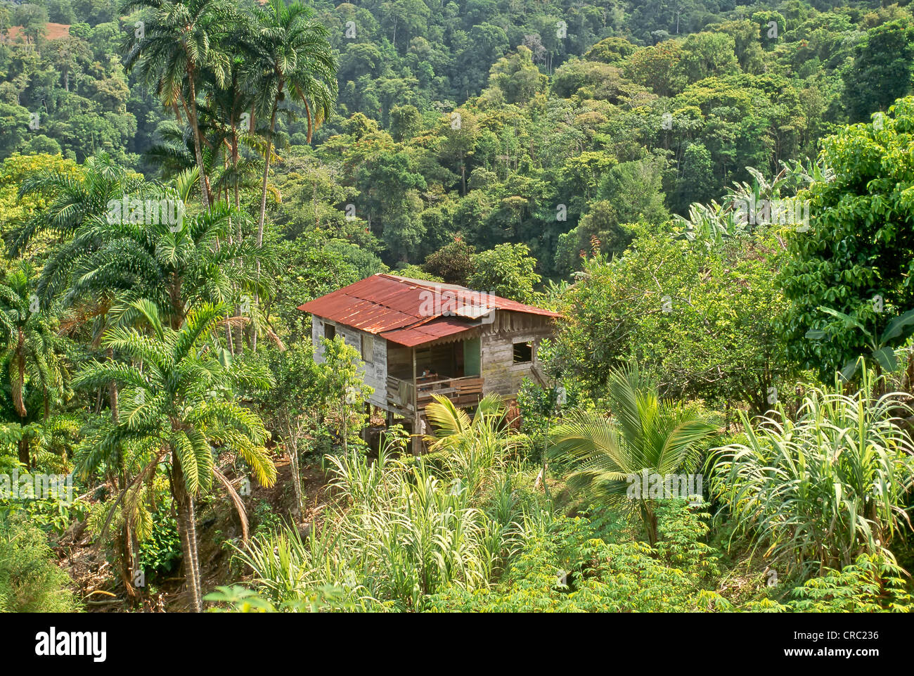 Deserted farm house hi-res stock photography and images - Alamy
