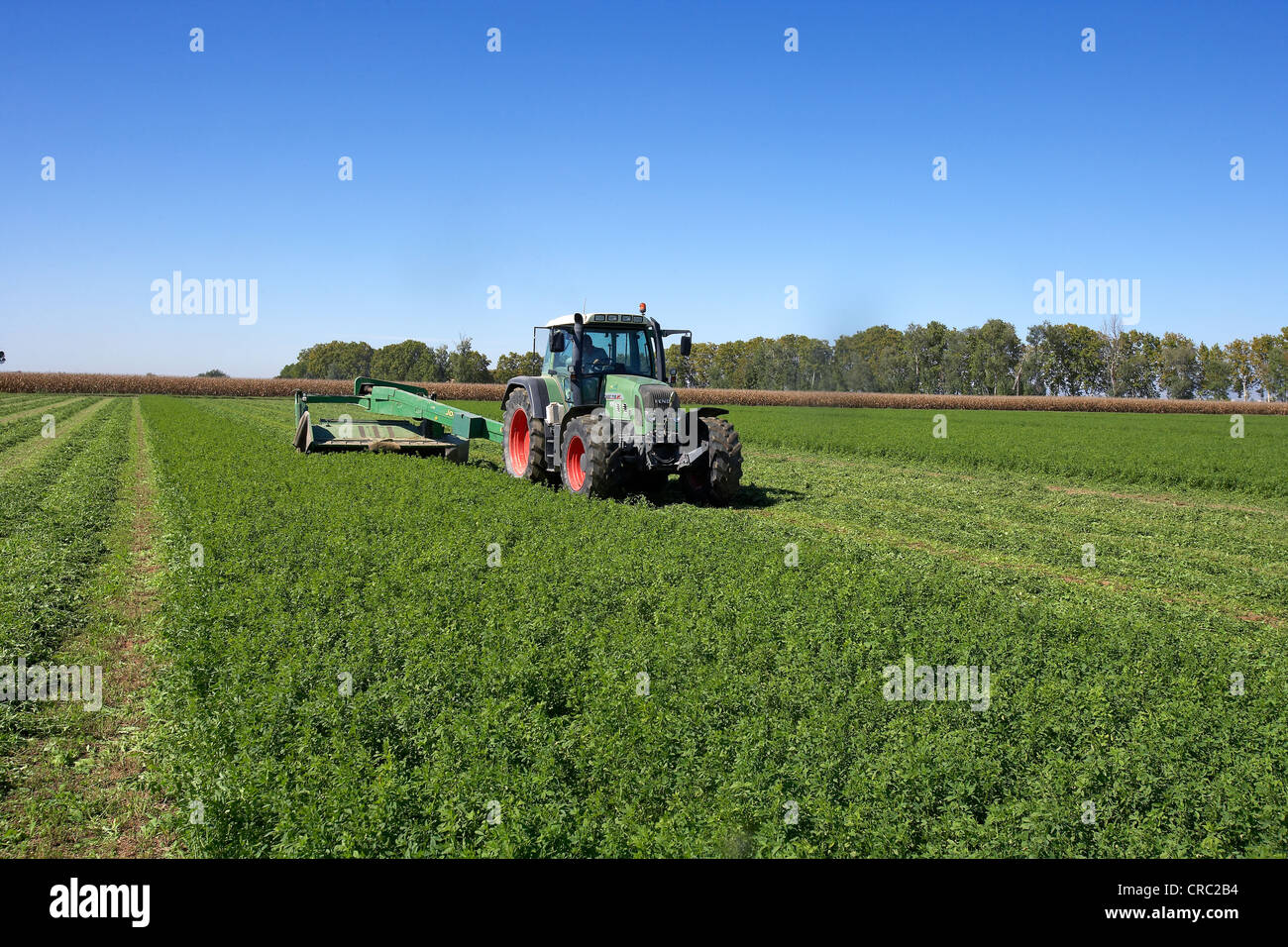 Riping machine hi-res stock photography and images - Alamy