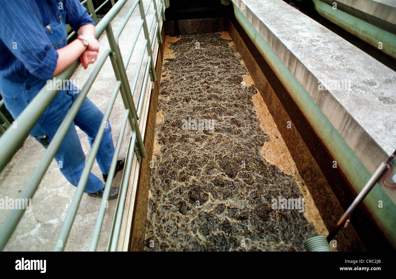 Waterworks of the Berlin Water Company, Germany Stock Photo - Alamy