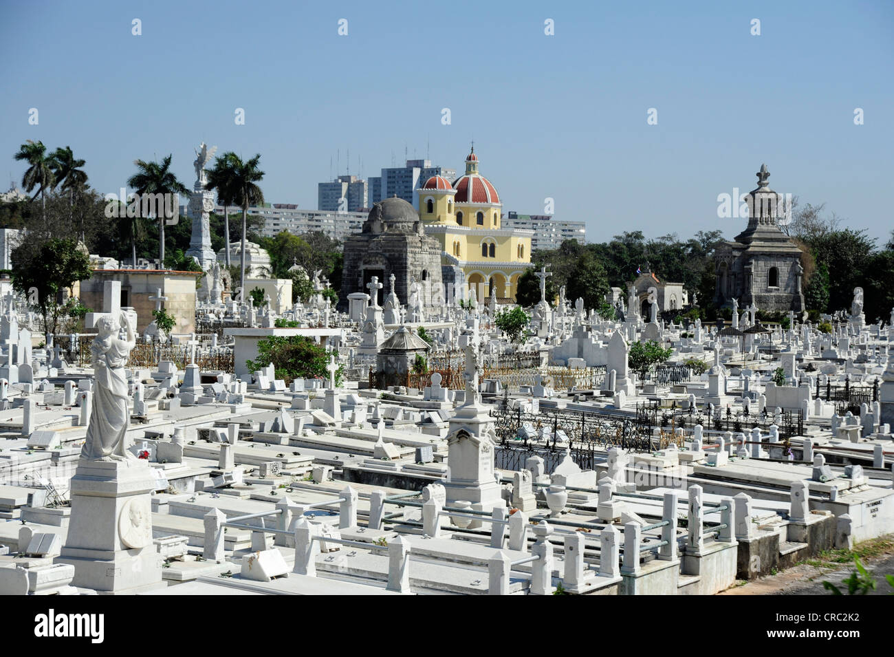 Cemetery, Cementerio Cristobal Colon, a national monument, city center ...
