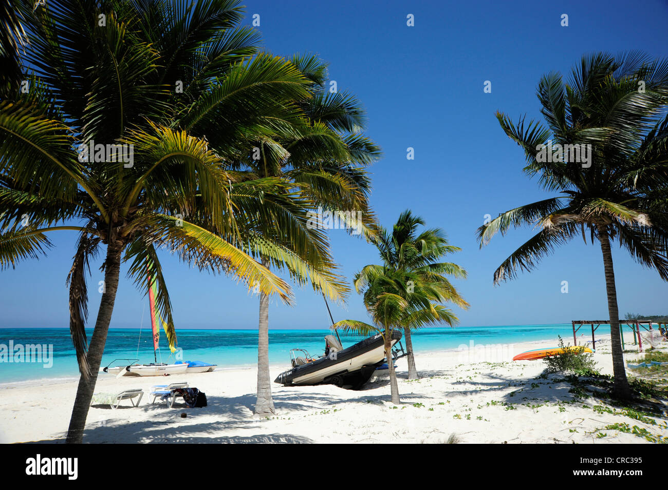 Beach with palm trees, Cayo Levisa island, Pinar del Rio province, Cuba ...