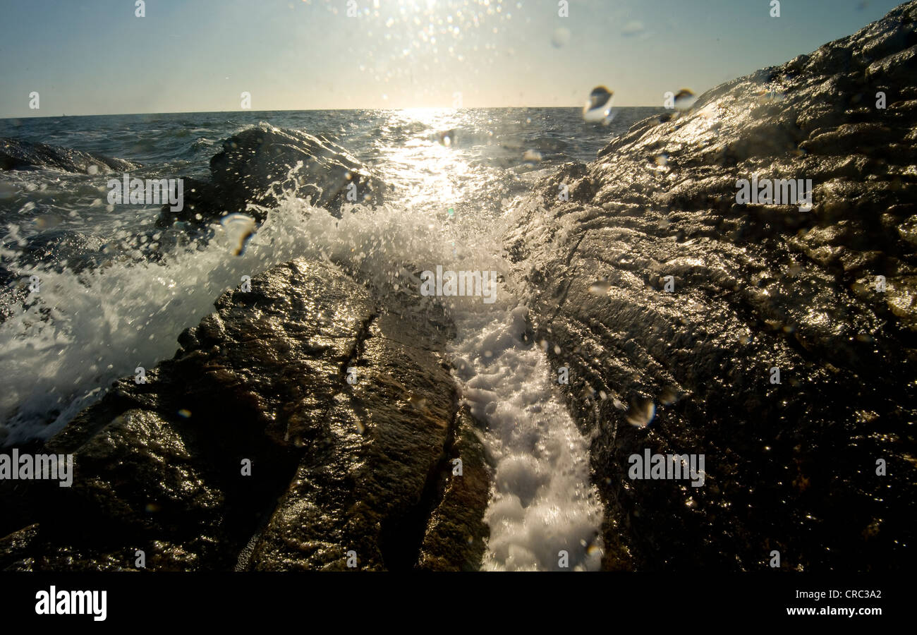 Exploration, exploring, activity, discovery, exploration, locomotion ...