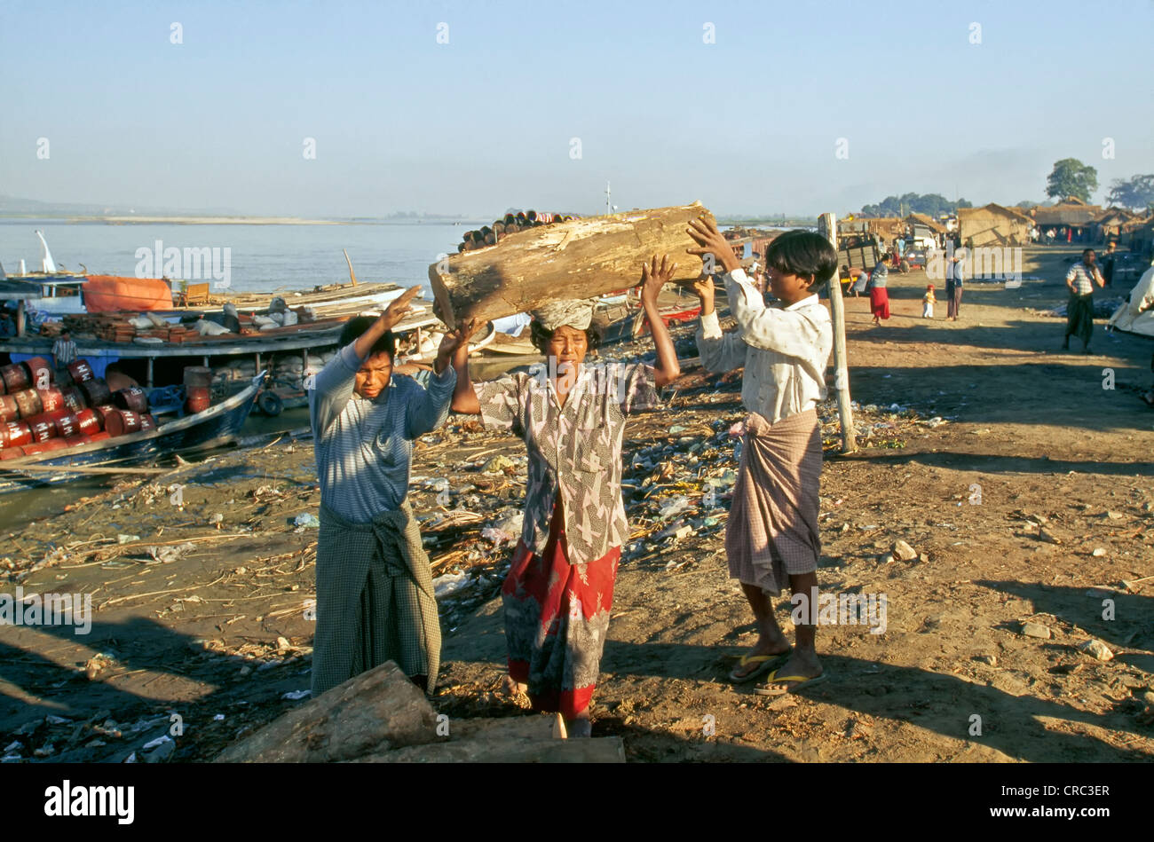 Woman carrying 'salvaged' teak log on head, two men adjust load Stock ...