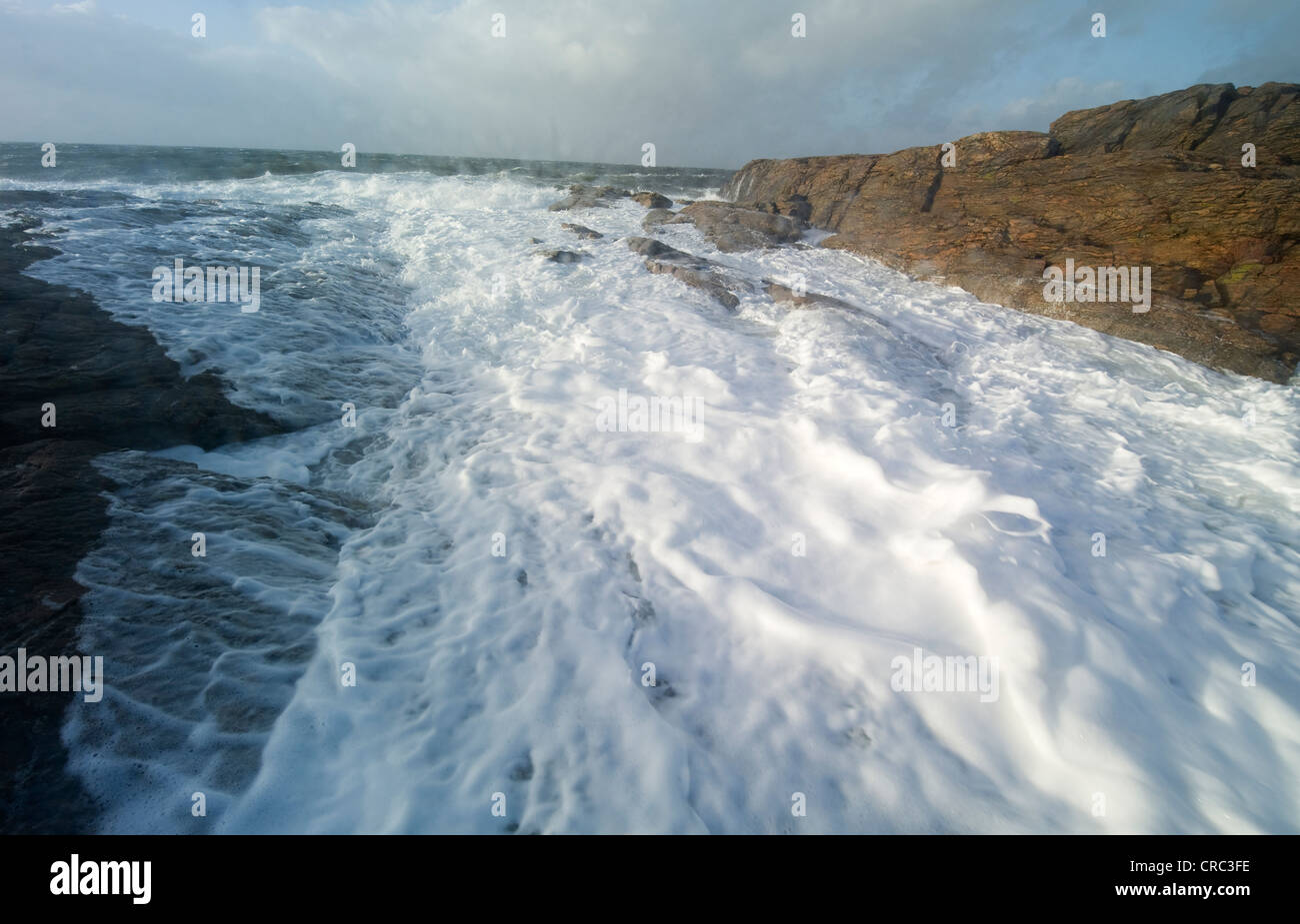 Rational behavior hi-res stock photography and images - Alamy