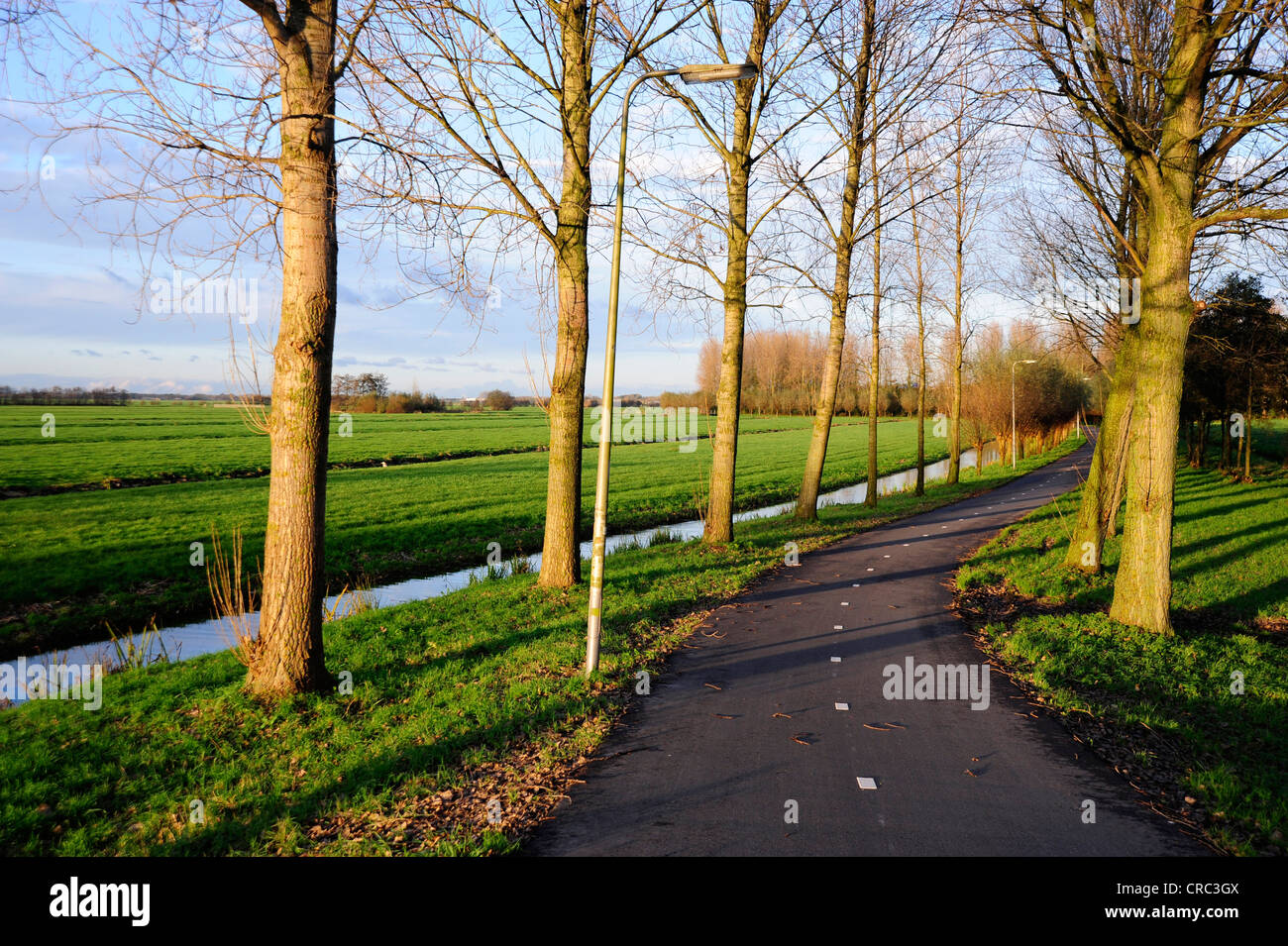 Bicycle lane in a polder area, landscape between Gouda and Bodegraven ...