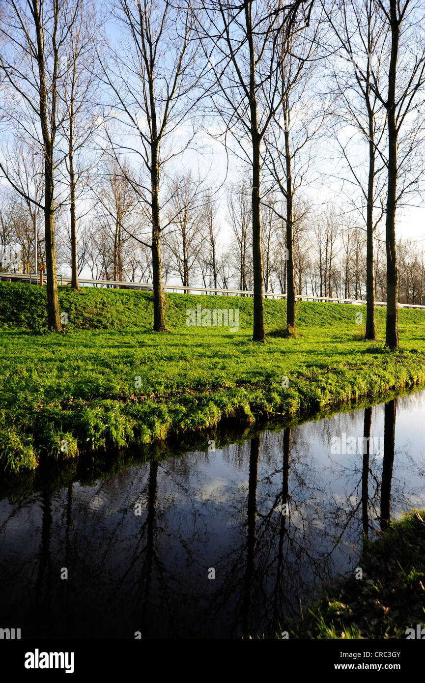 Reflection strip hi-res stock photography and images - Alamy