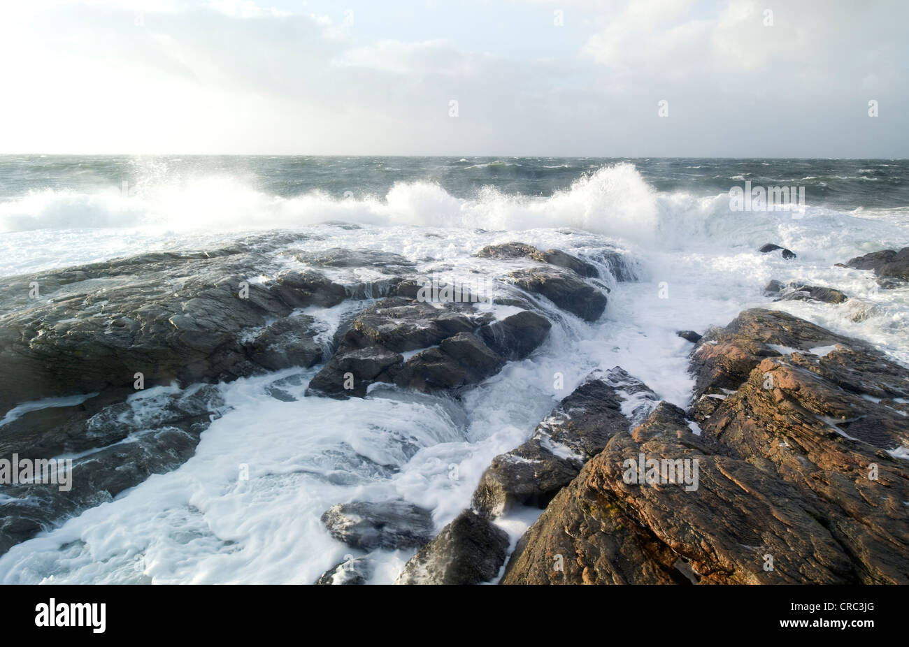 Marine experiences hi-res stock photography and images - Alamy