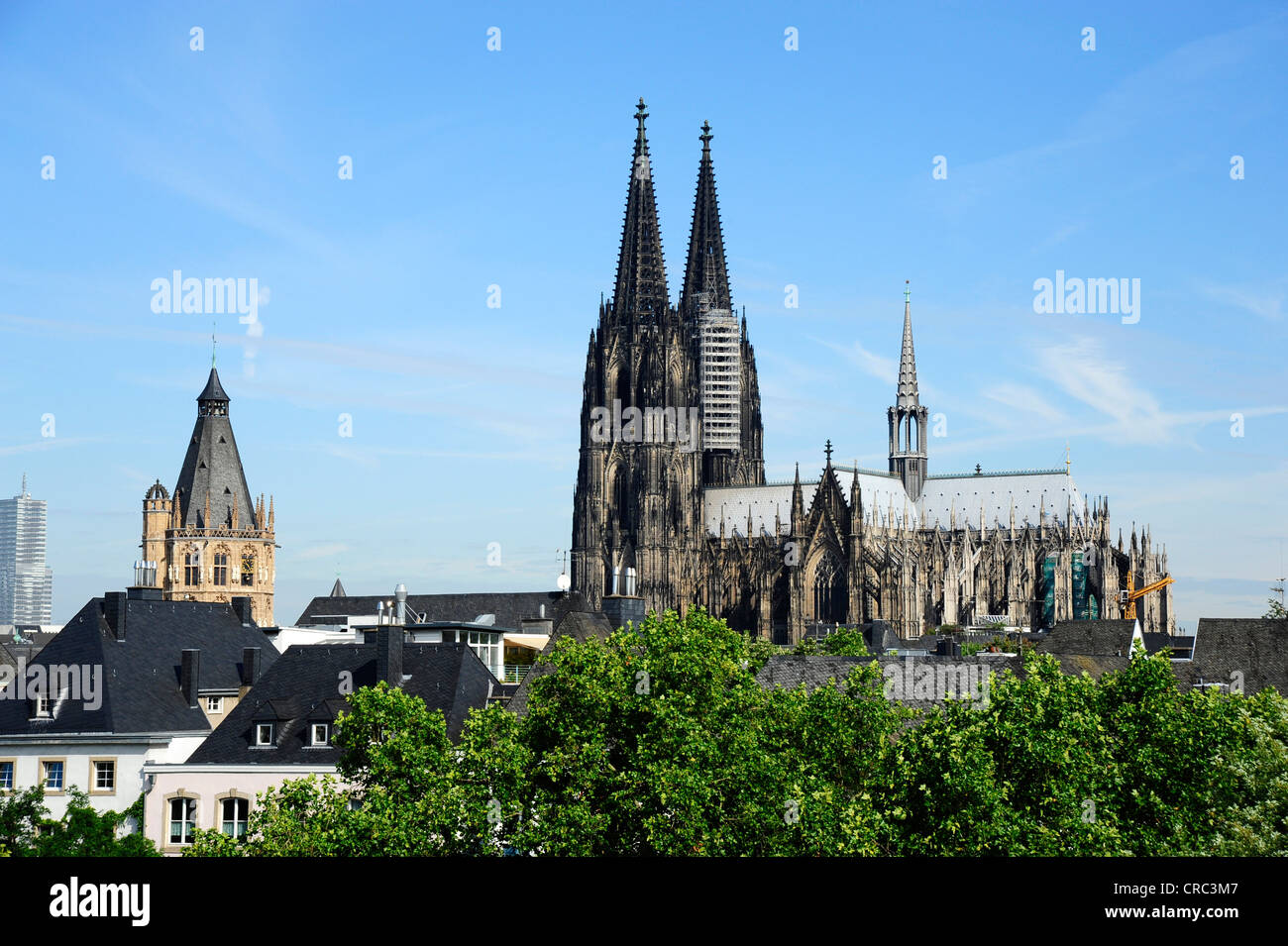 Town Hall and Cologne Cathedral, historic town centre, Cologne ...