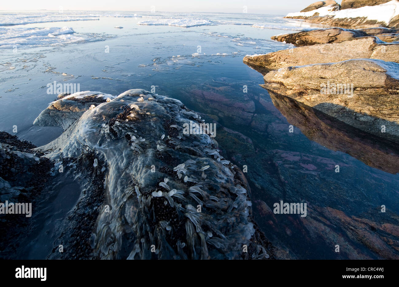 Landscape with ice Stock Photo - Alamy
