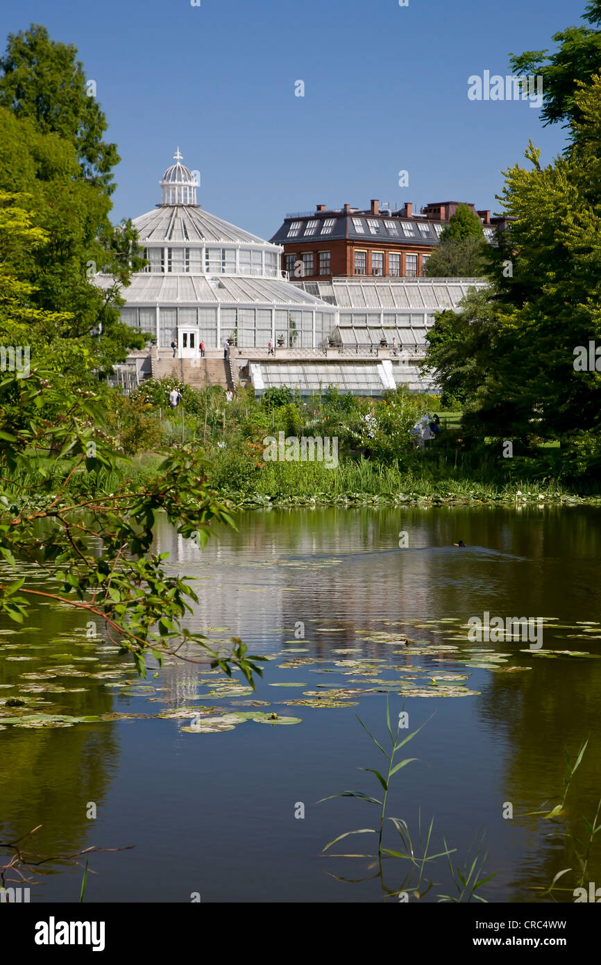 Botanical Garden, Copenhagen, Denmark, Europe Stock Photo - Alamy