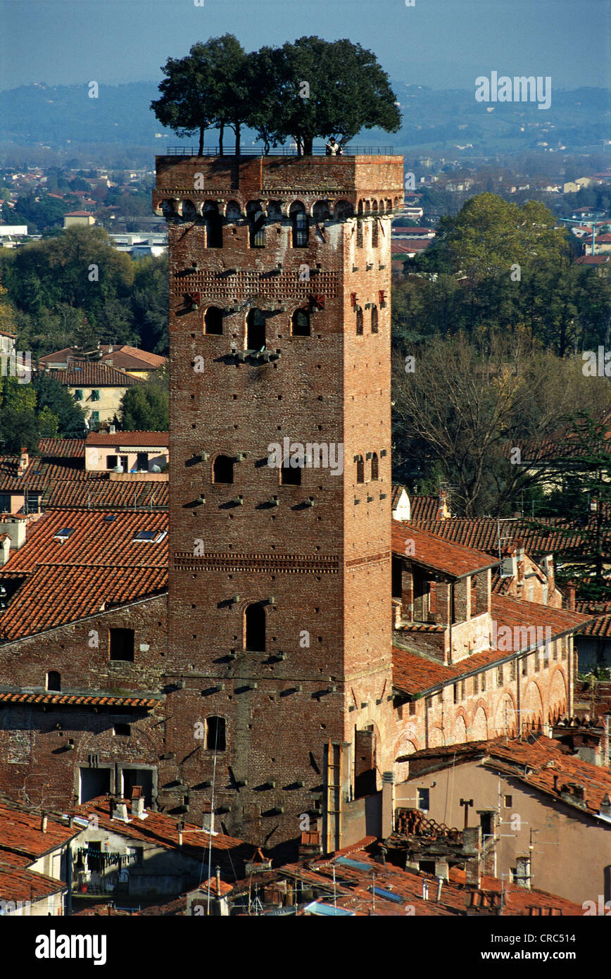 Guinigi Tower. Lucca, Tuscany, Italy Stock Photo - Alamy