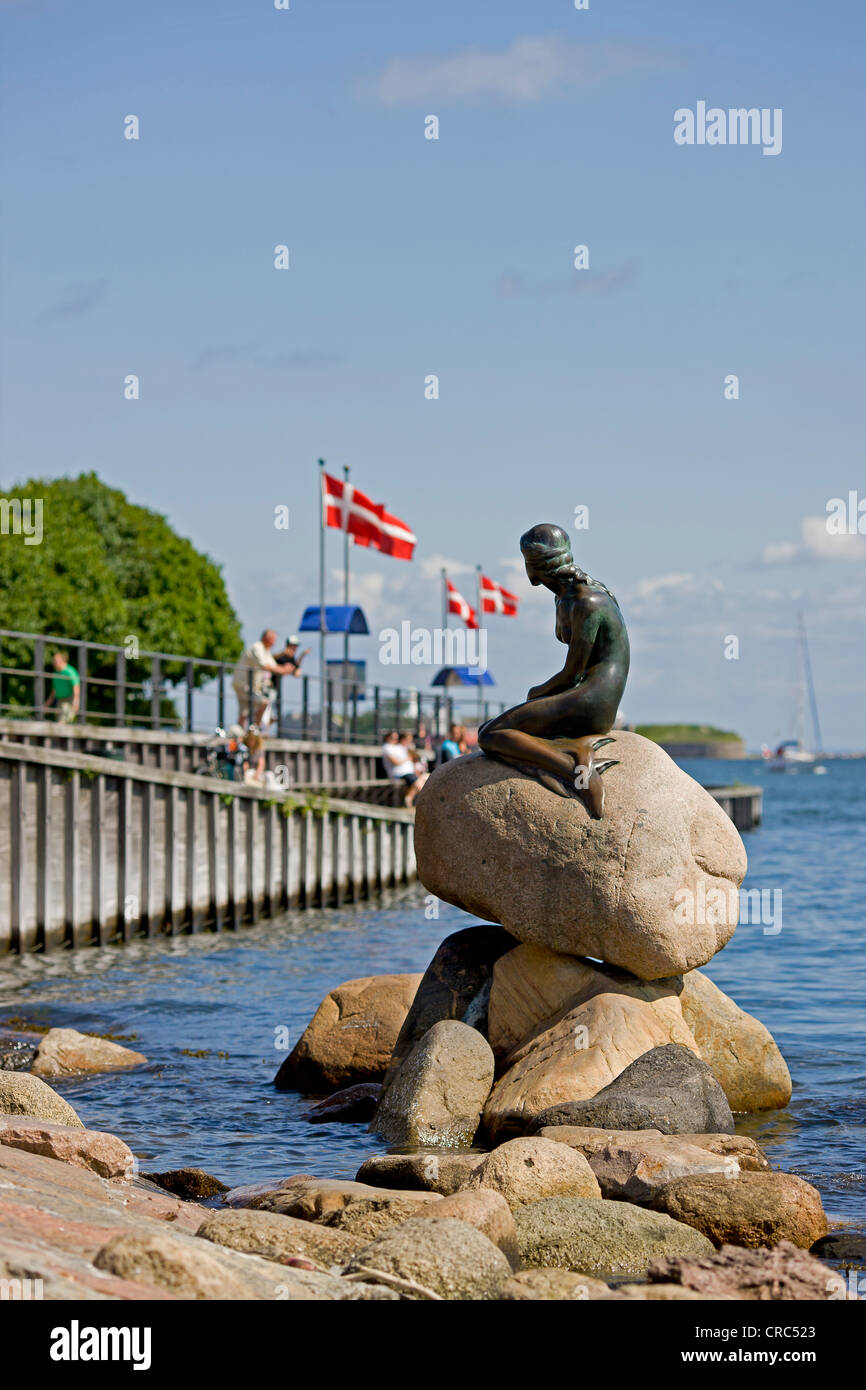 The Little Mermaid, Copenhagen, Denmark, Europe Stock Photo - Alamy