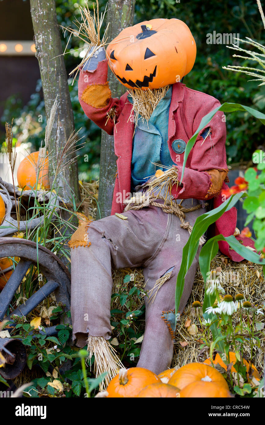 Halloween scarecrow in Tivoli, Copenhagen, Denmark, Europe Stock Photo ...