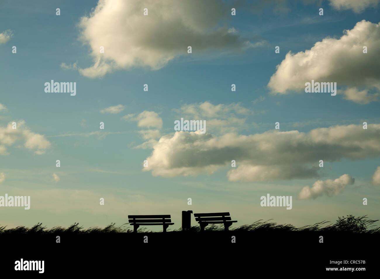 Sun benches hi-res stock photography and images - Alamy