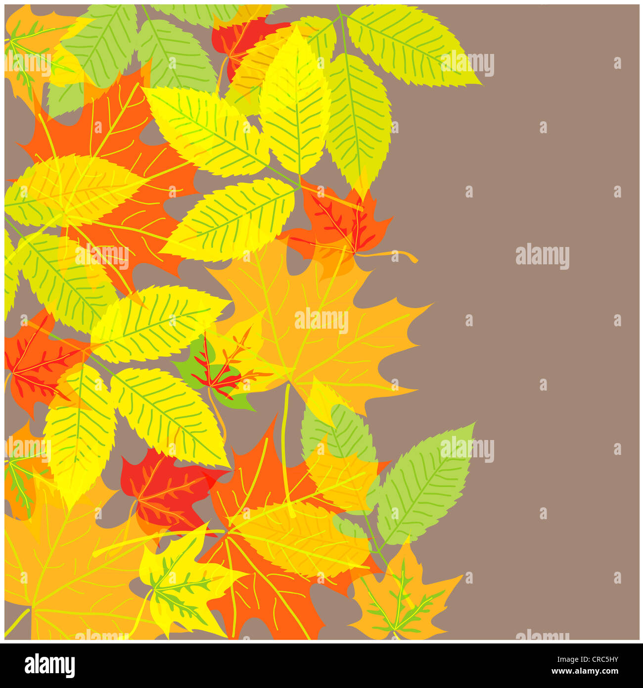 Art leaves autumn background Stock Photo - Alamy
