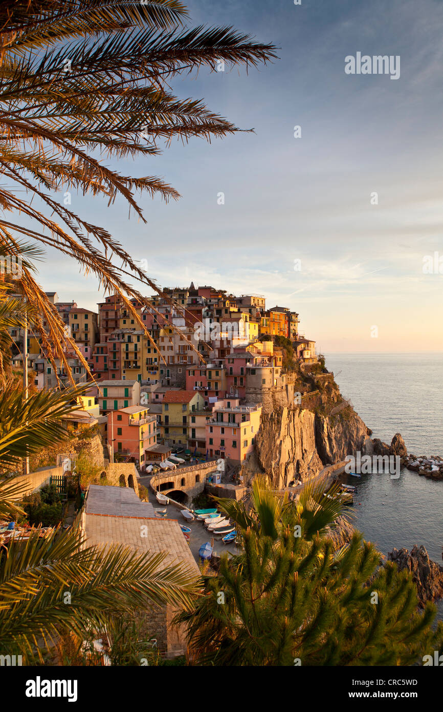 Manarola at sunset, Cinque Terre, Italy Stock Photo - Alamy
