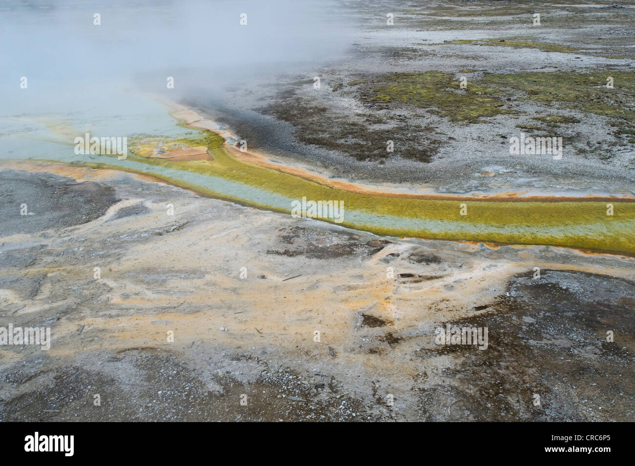 USA, Wyoming, Yellowstone National Park, Sapphire Pool, Biscuit Basin ...