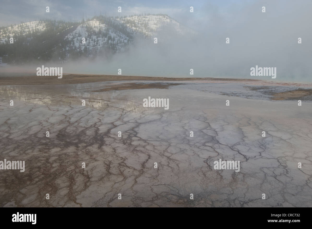 USA, Wyoming, Yellowstone National Park, Grand Prismatic Spring, Midway ...