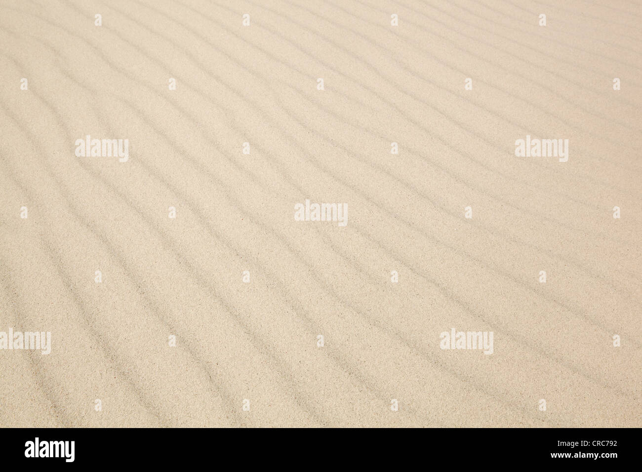 Ripples in sand dunes Stock Photo - Alamy