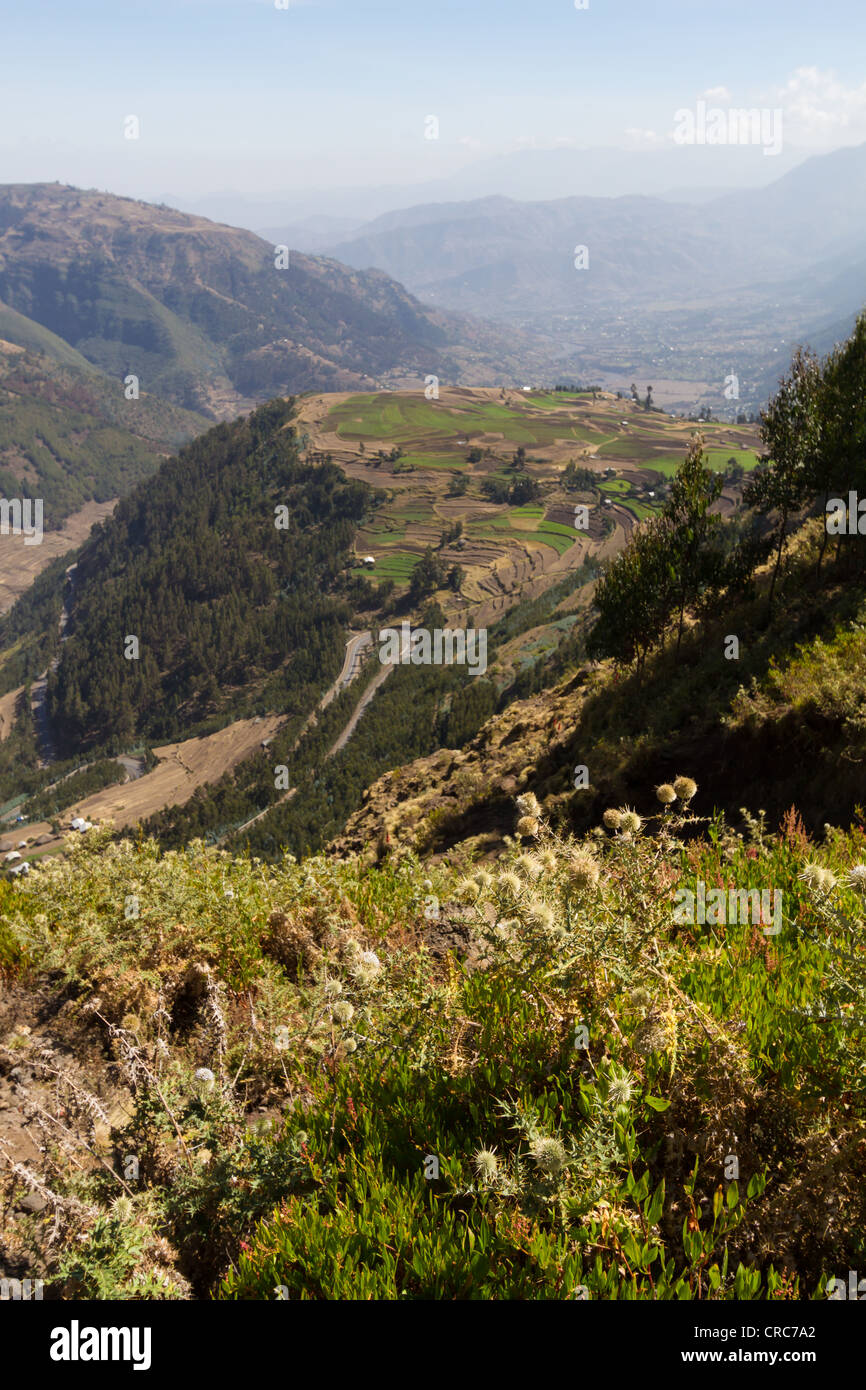 Ethiopia ethiopian highland hi-res stock photography and images - Alamy