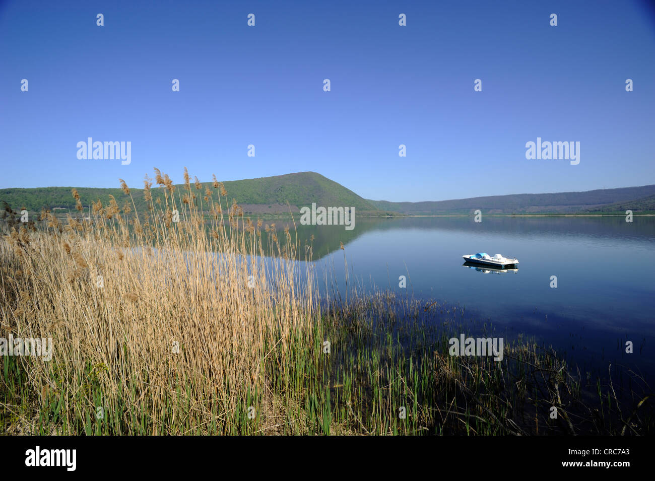 Lake vico natural reserve hi-res stock photography and images - Alamy