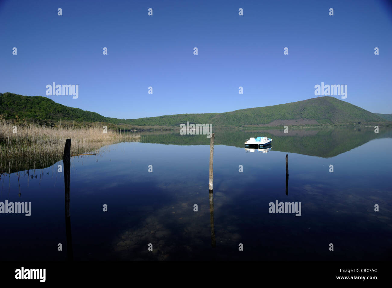 Lake vico natural reserve hi-res stock photography and images - Alamy