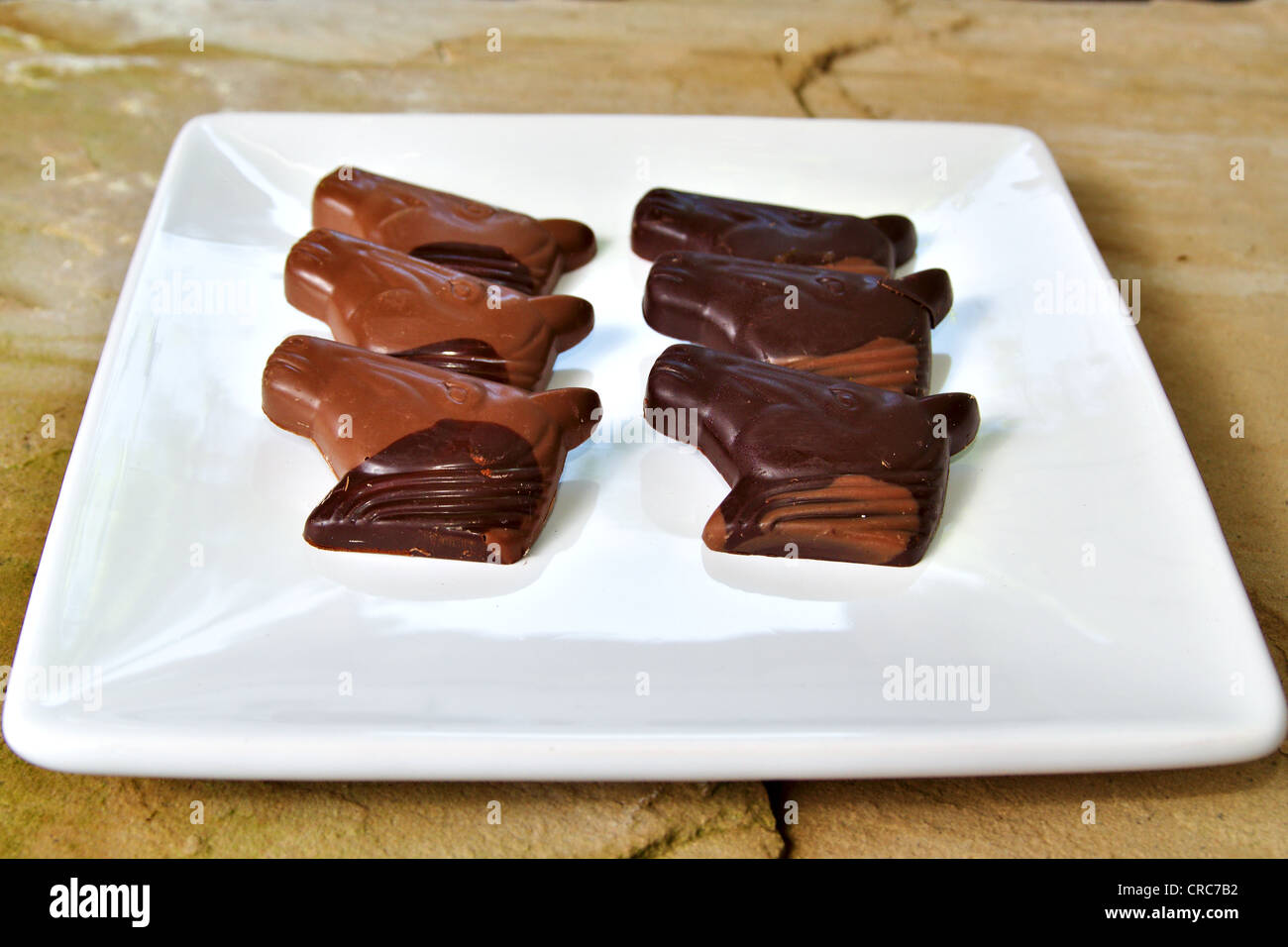 Luxury Belgian chocolates Stock Photo - Alamy
