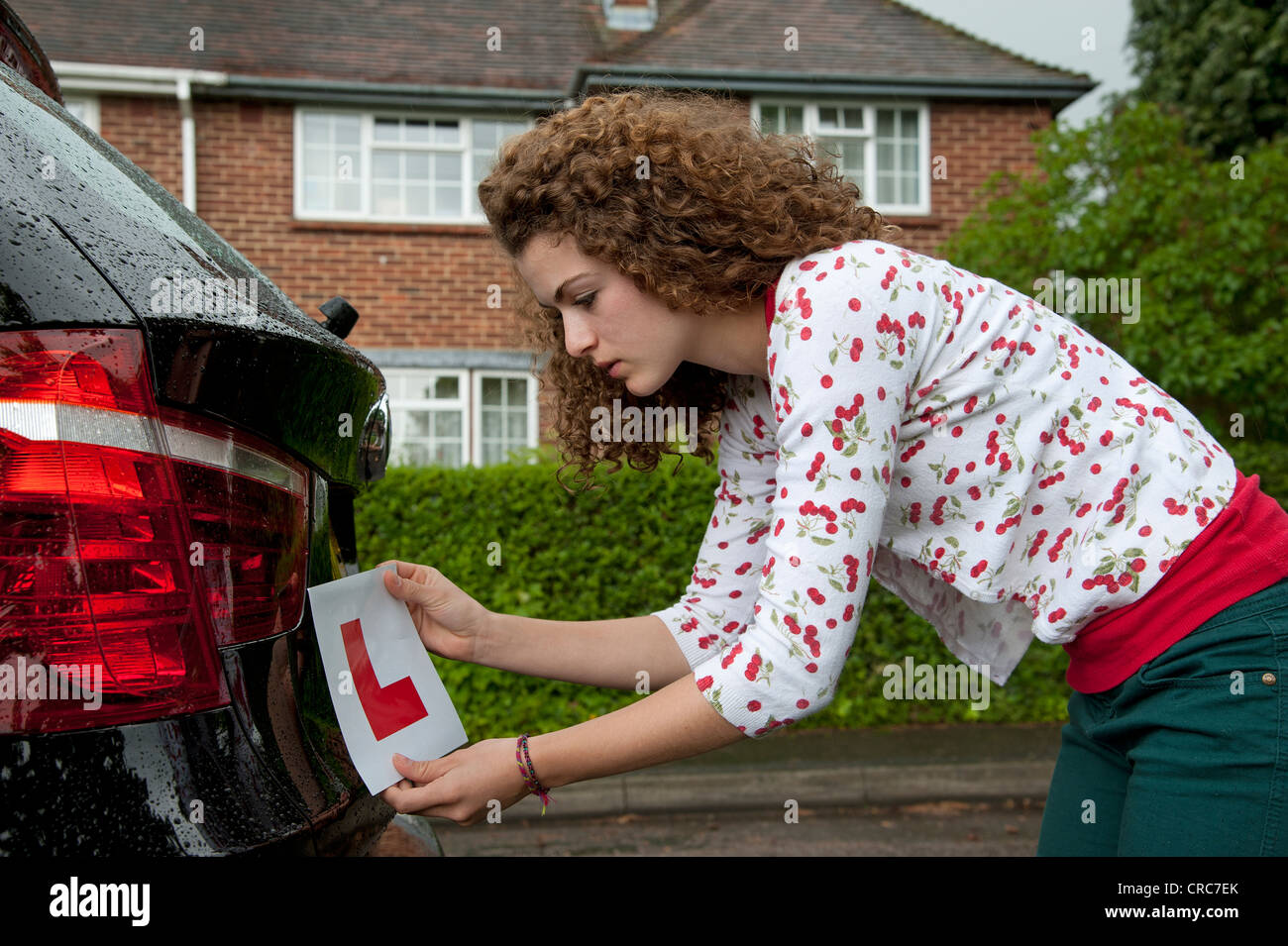 Young female motorist attaching a learner driver 'L' plate to her car ...