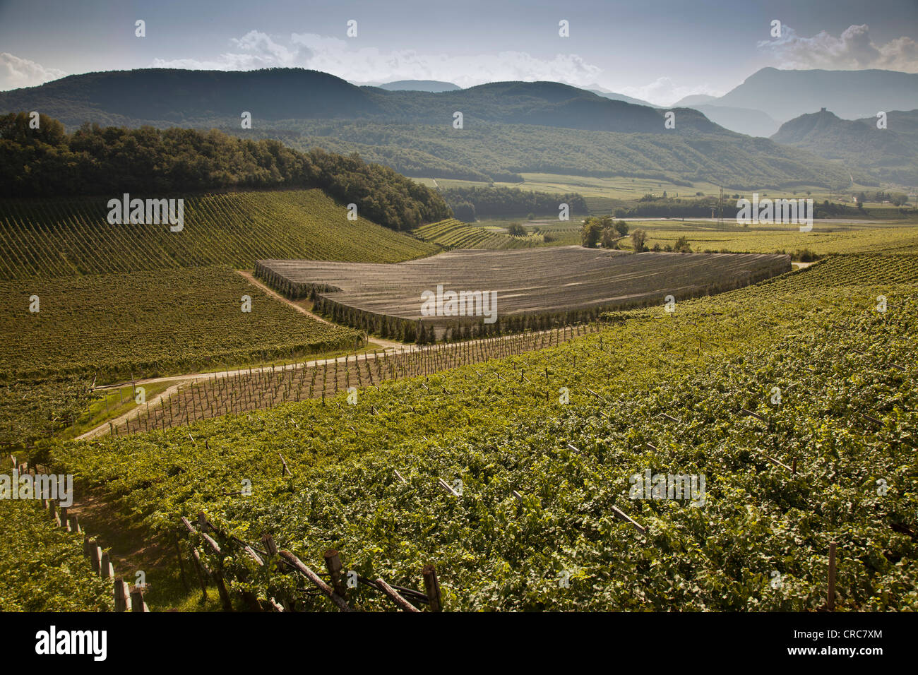 Aerial view of farm in rural landscape Stock Photo - Alamy