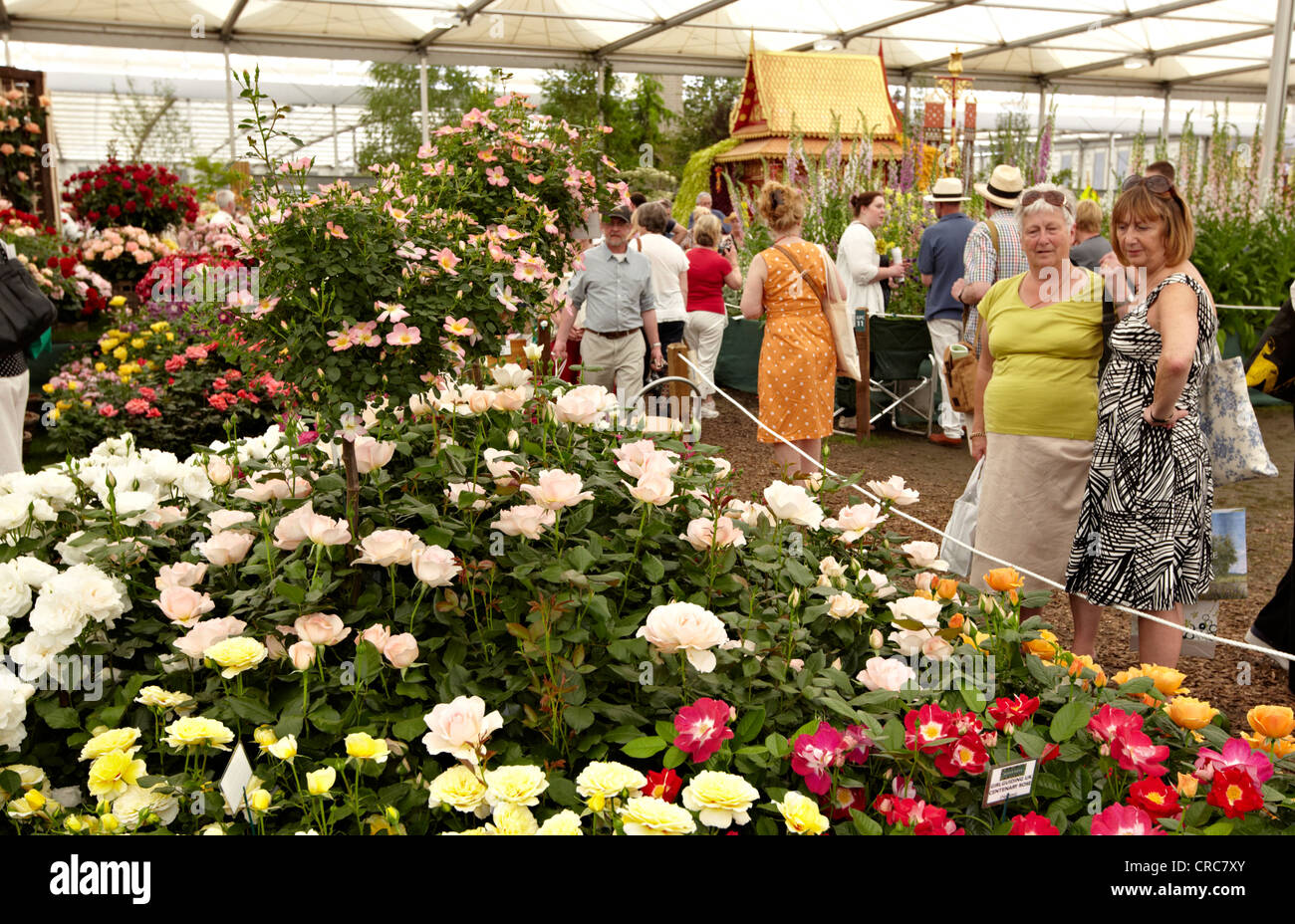 Chelsea flower show hi-res stock photography and images - Alamy