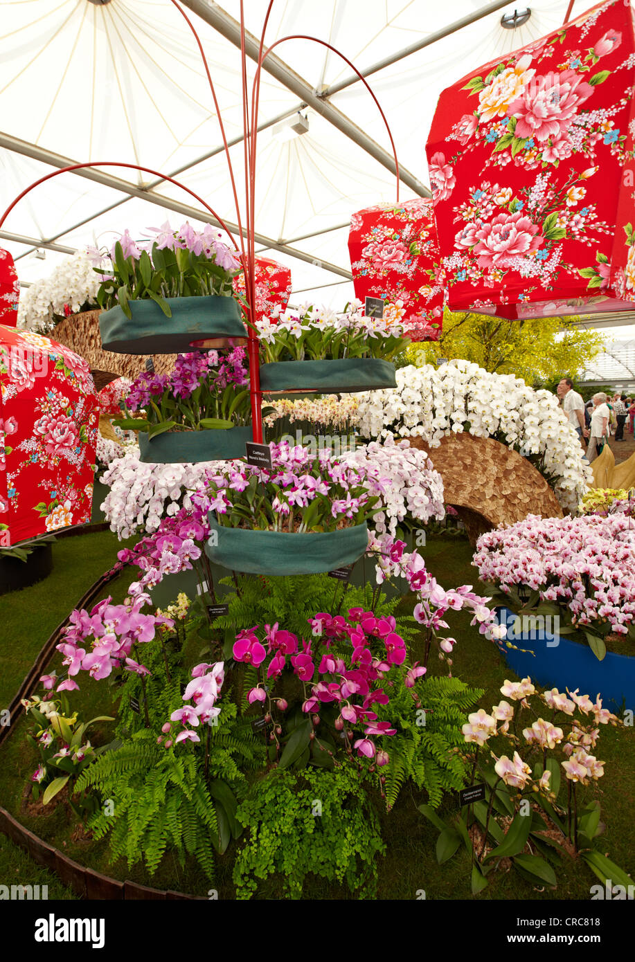 The Chelsea Flower Show London UK Stock Photo - Alamy