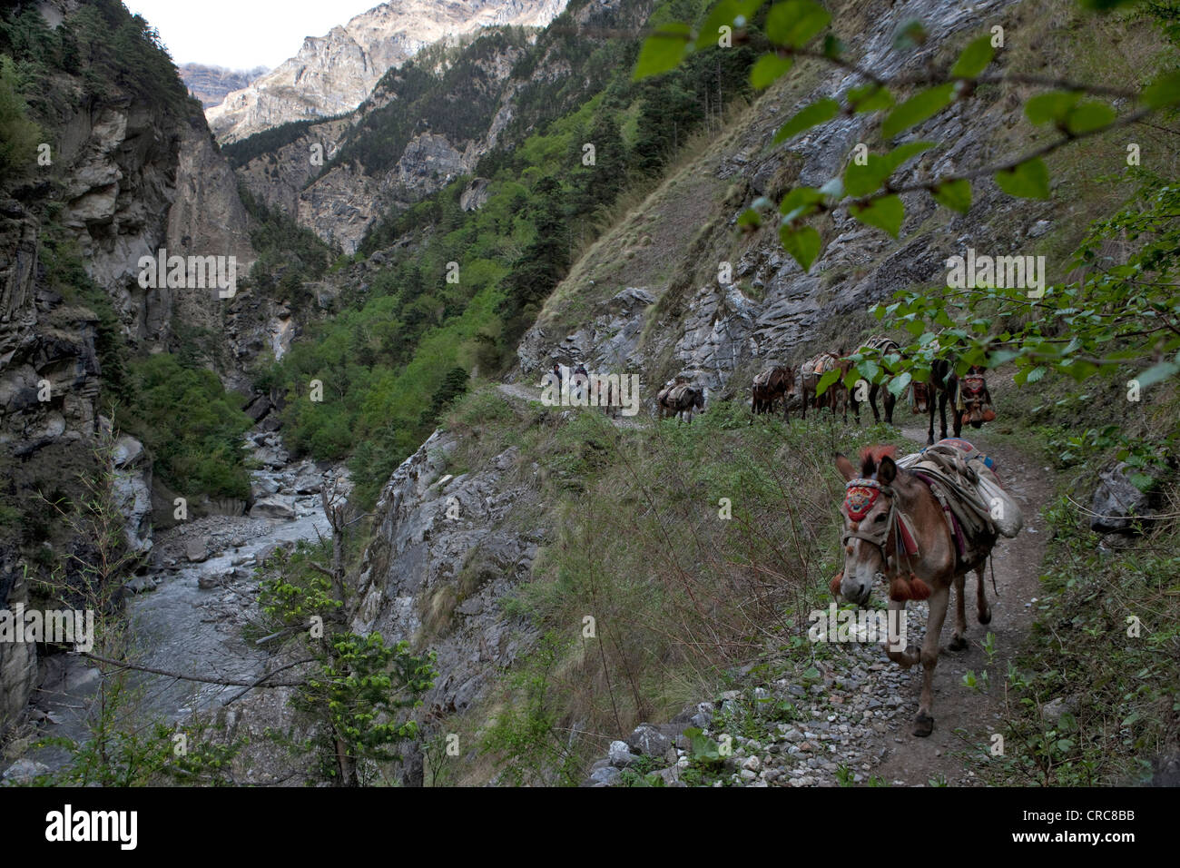 Naar phu val hi-res stock photography and images - Alamy