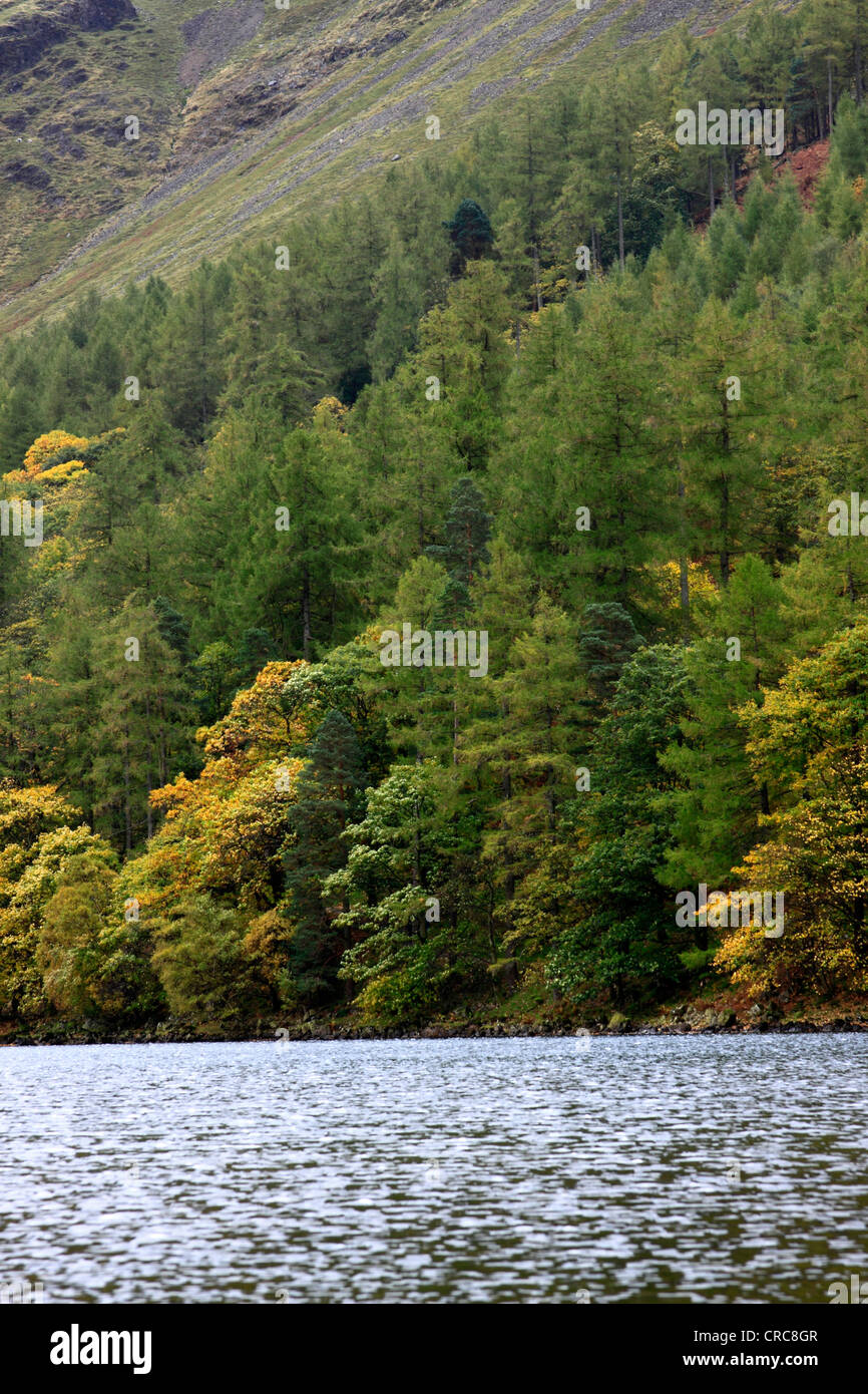 Cumbria england trees moody hi-res stock photography and images - Alamy